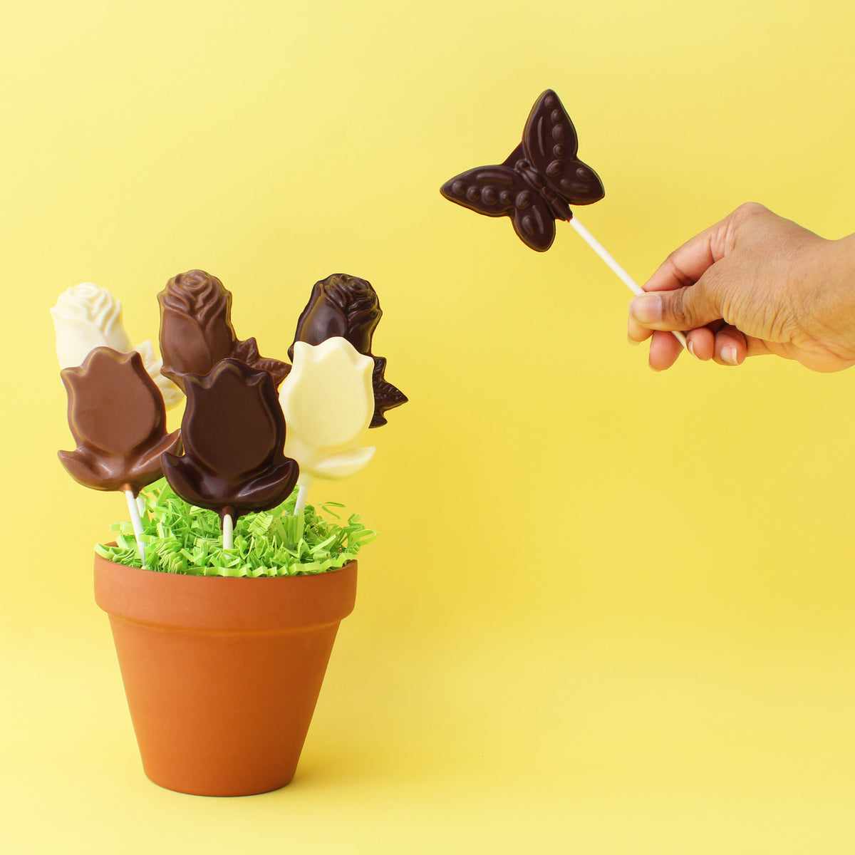 Chocolate Pops – Vermont Nut Free Chocolates