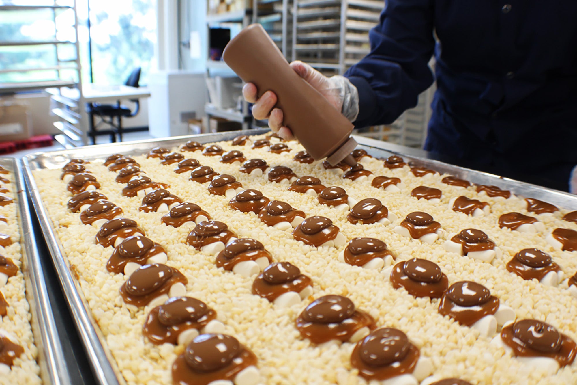 Vermont Nut Free Chocolates