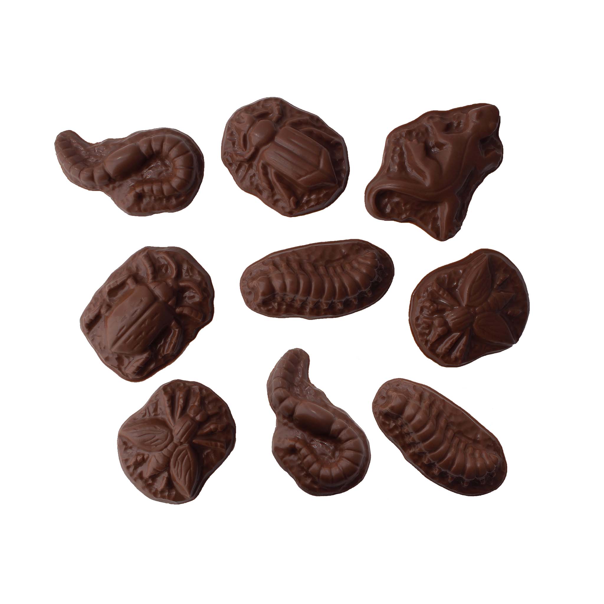 Bag of Bugs – Vermont Nut Free Chocolates