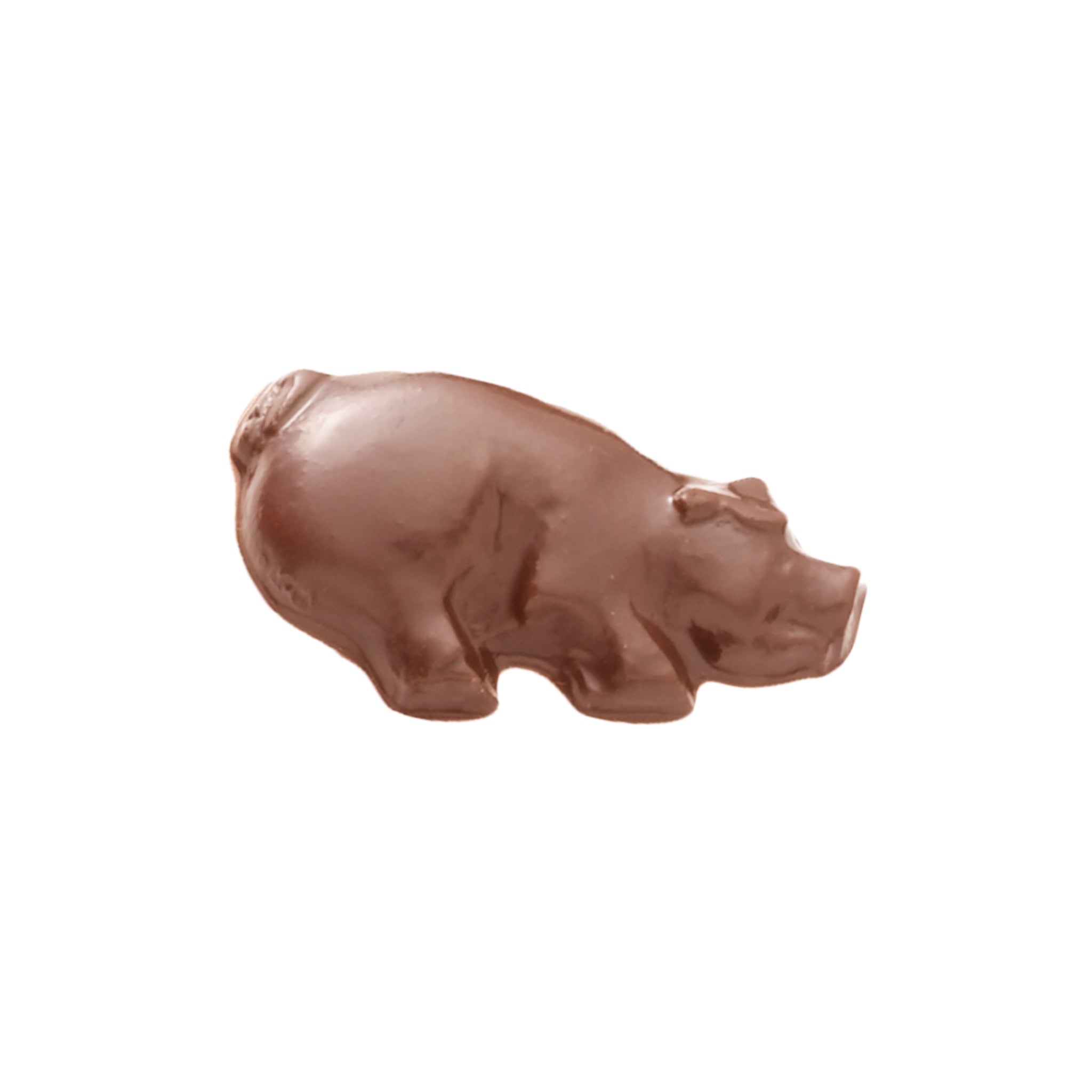 Litter of Pigs – Vermont Nut Free Chocolates