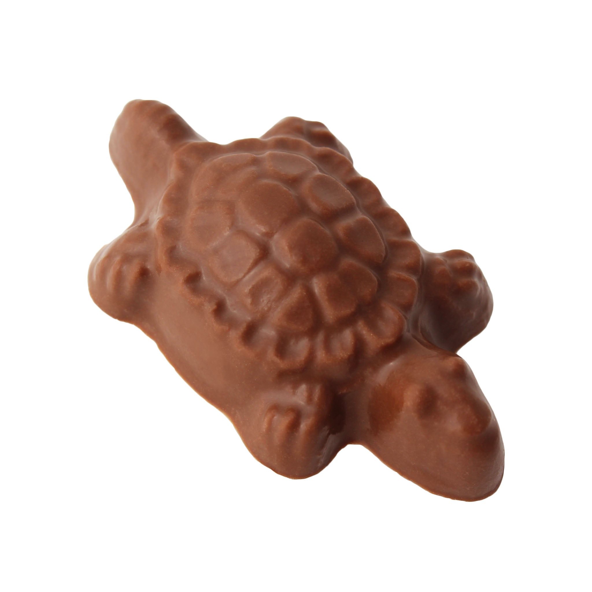 Turtle – Vermont Nut Free Chocolates